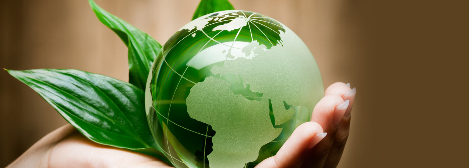 ECOWELT - Colectare si reciclare deseuri